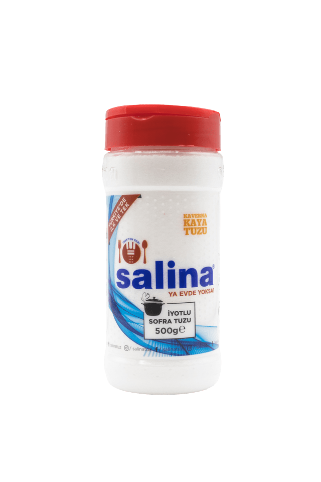 Salina Table Salt 500g — Basfoods